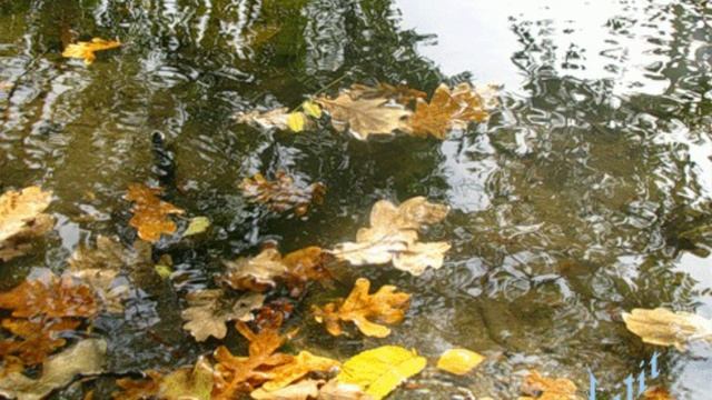 Цвет будет позже золотой