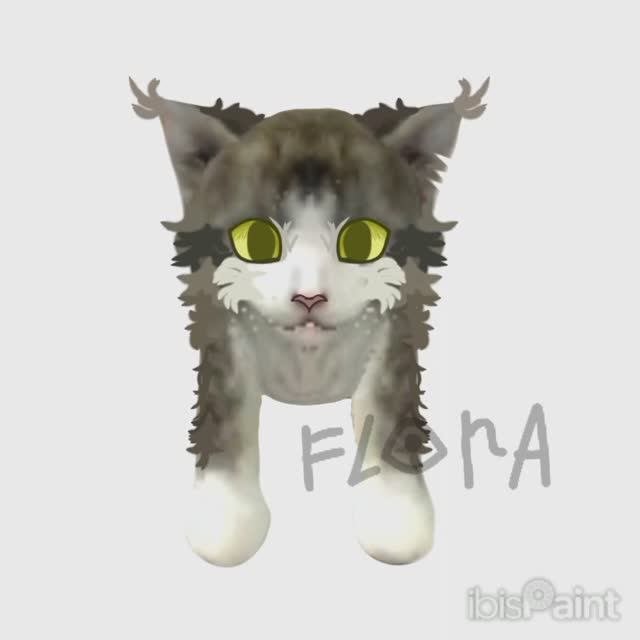 кики (кет сим)