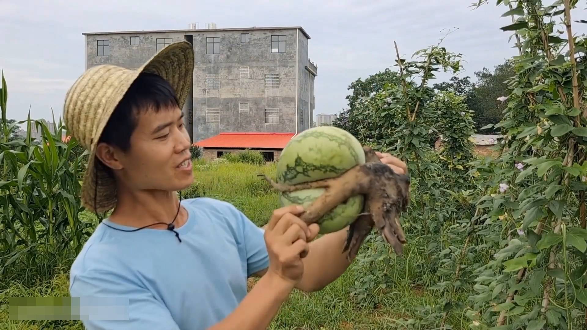 История Дацзы - Чем больше стараешься, тем больше ранишься