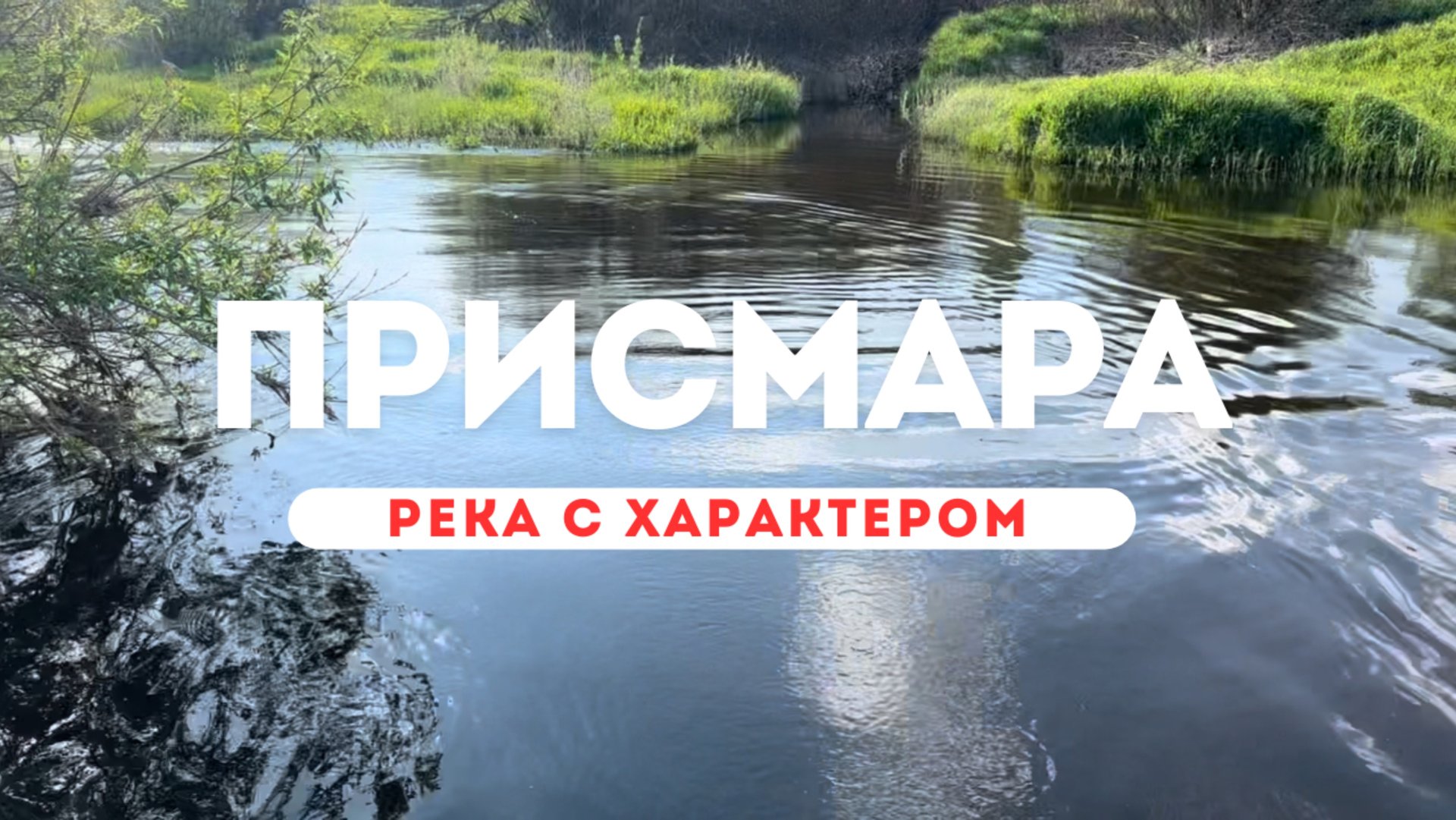 🌊 SUP-сплав по Присмаре - речка с характером и памятью