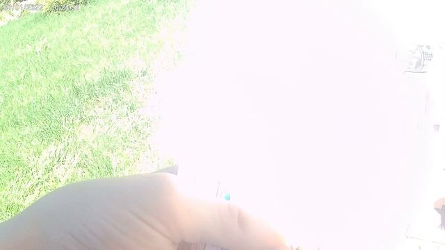 Орентирывание