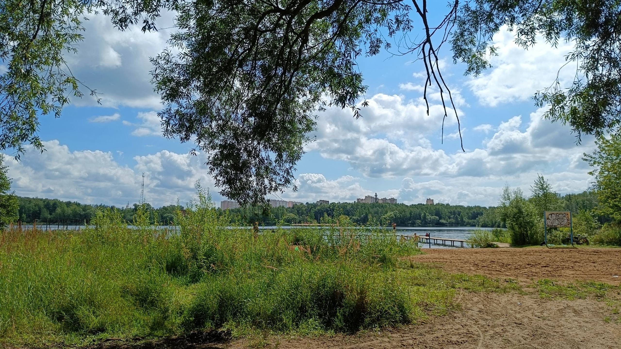 Лето 2025: Август | Большое озеро и маленькая собачка