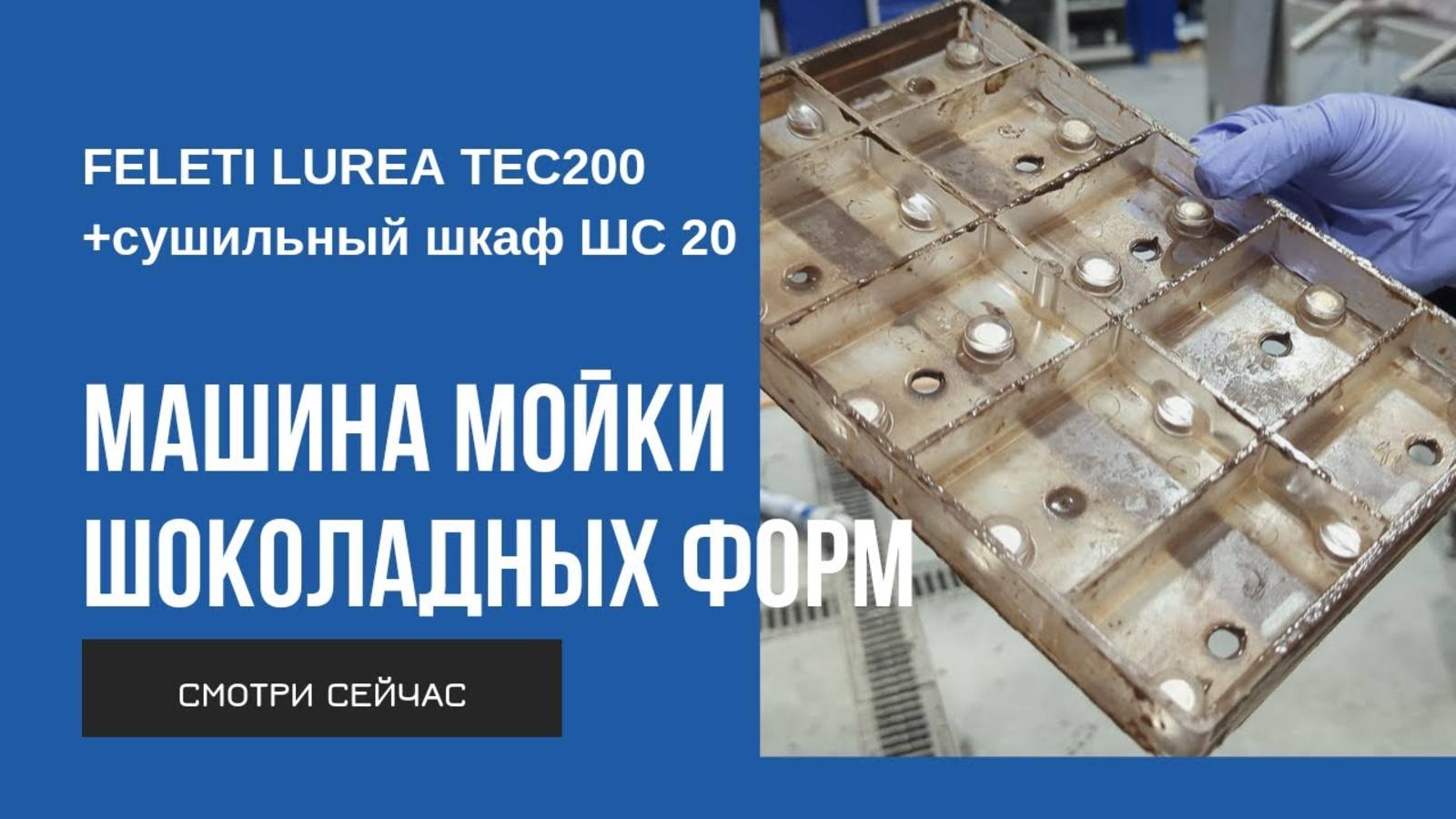 Машина мойки шоколадных форм FELETI + шкаф сушильный