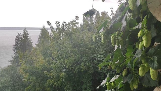 Дождь над рекой. Релакс видео