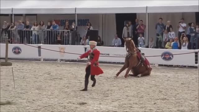 степь ковыльная