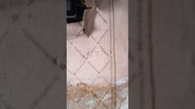 Реставрация лампы 5 рожков 1965г-1974г.Часть9