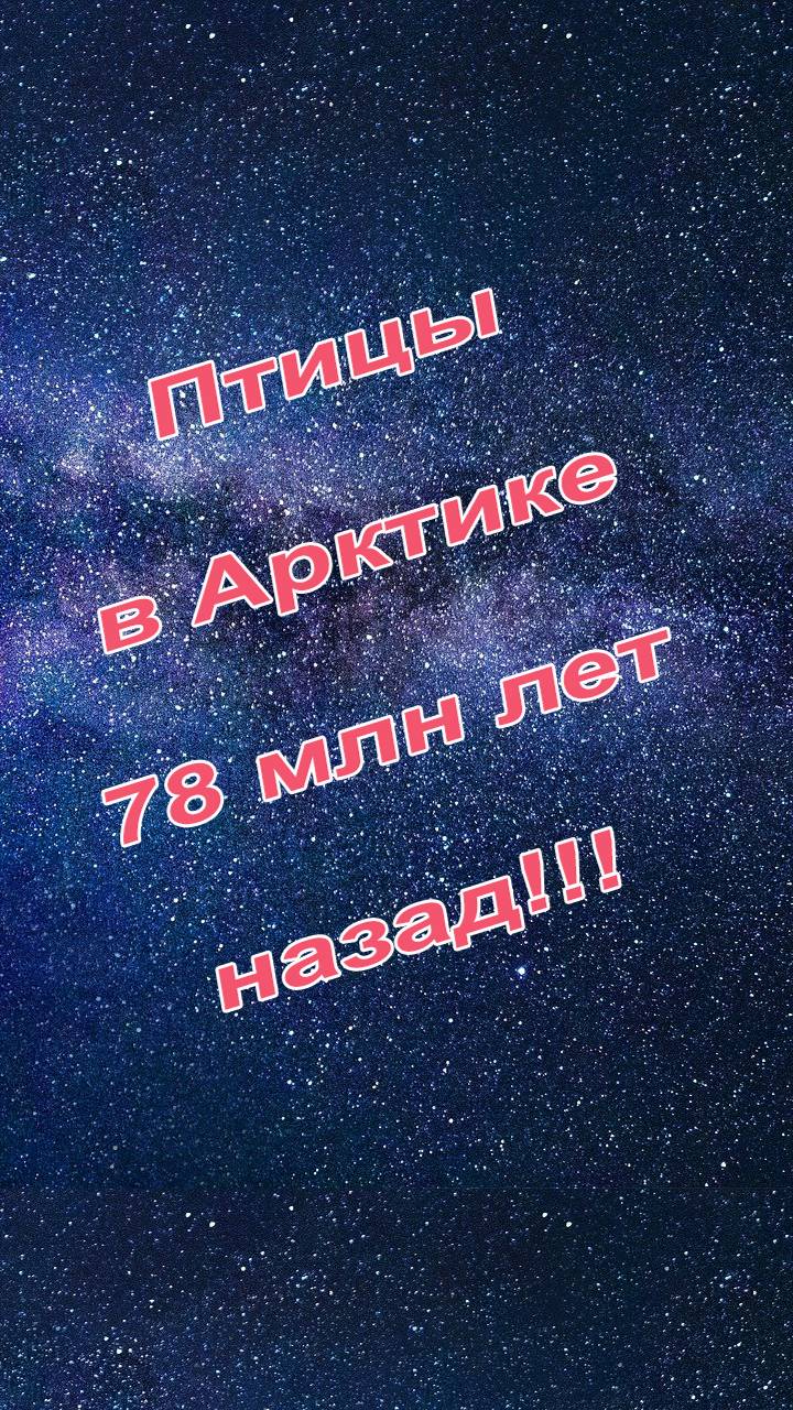 Птицы на севере 78 млн лет назад