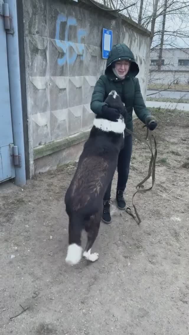 На прогулку!