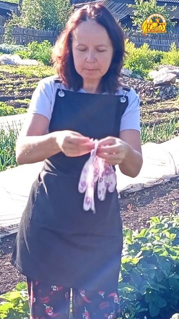 Крем Садово-огородный