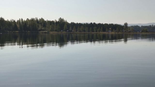 поймали и удивились