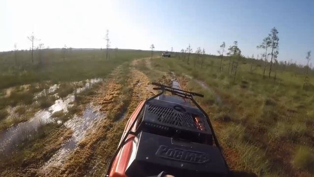 На модуле по болоту