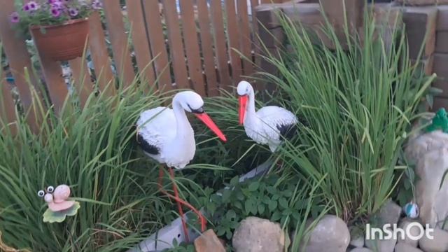 Цапли около пруда