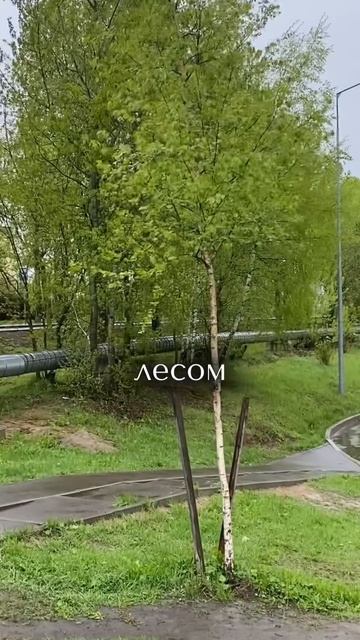 Квартира в Москве без первоначального взноса