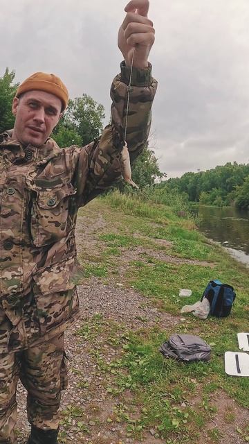 Рыбалка #рыбалка #fishing #смешно #прикольно #юмор #кот #котиков #cat #котова