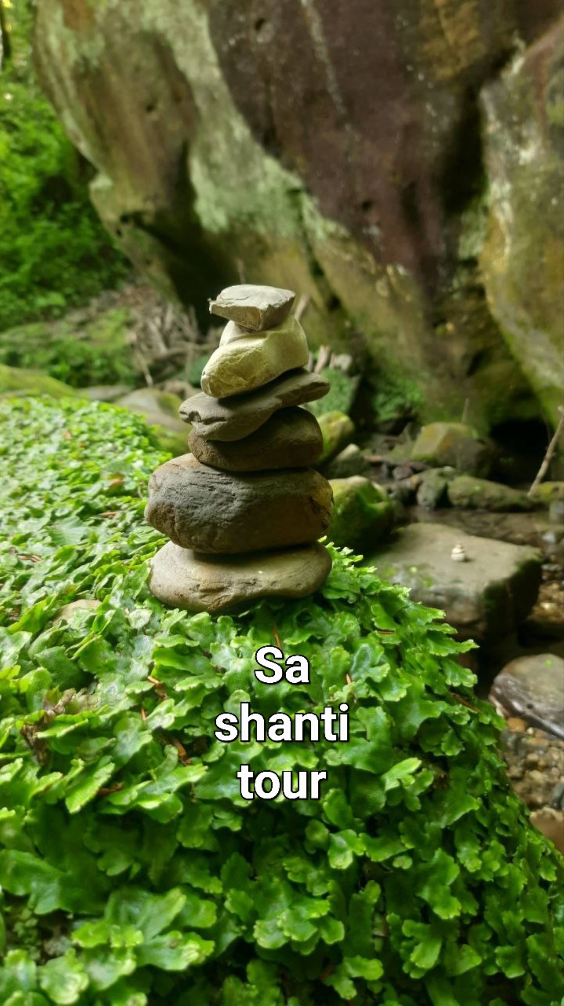 Sa_shanti_tour коротко о чем это
