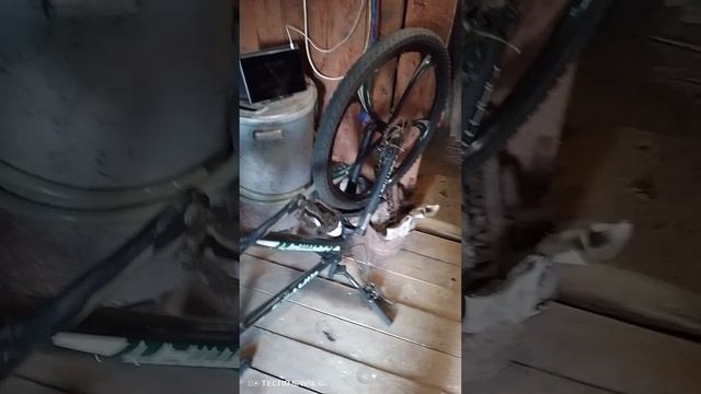 Краткий обзор жилища и продвижки по востановлению жилья.mp4