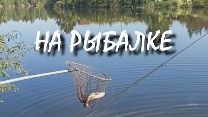 Утро ,озеро и хороший улов!🐟😜 #михалычдачник #рыбалка