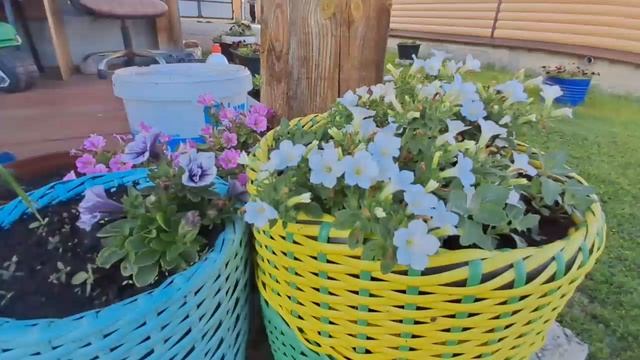 video_2025-07-09_12-28-26