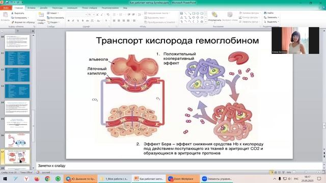 Как работает метод Бутейко