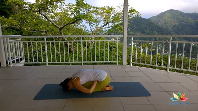 Упражнение Кошка сидя Татьяна Дудина