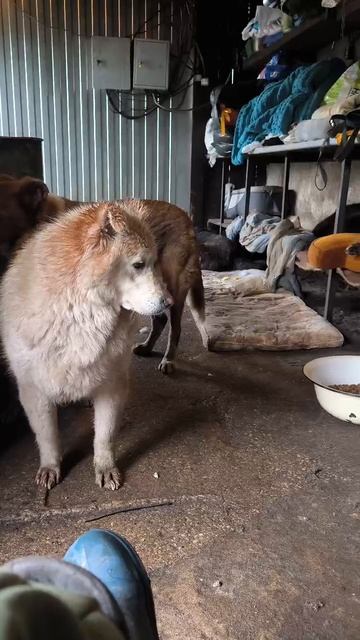 Белочка и Катя