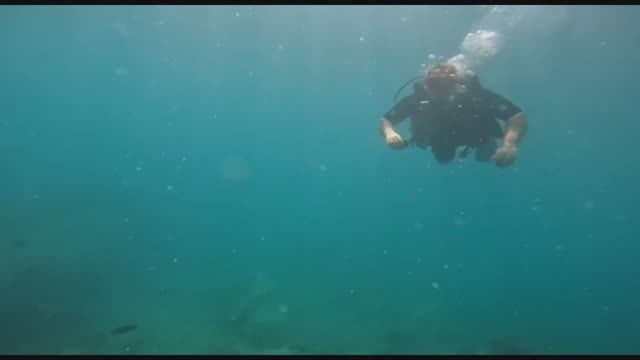 Вьетнам. Дайвинг. Подводные съемки. Việt nam. Lặn. Quay phim dưới nước.