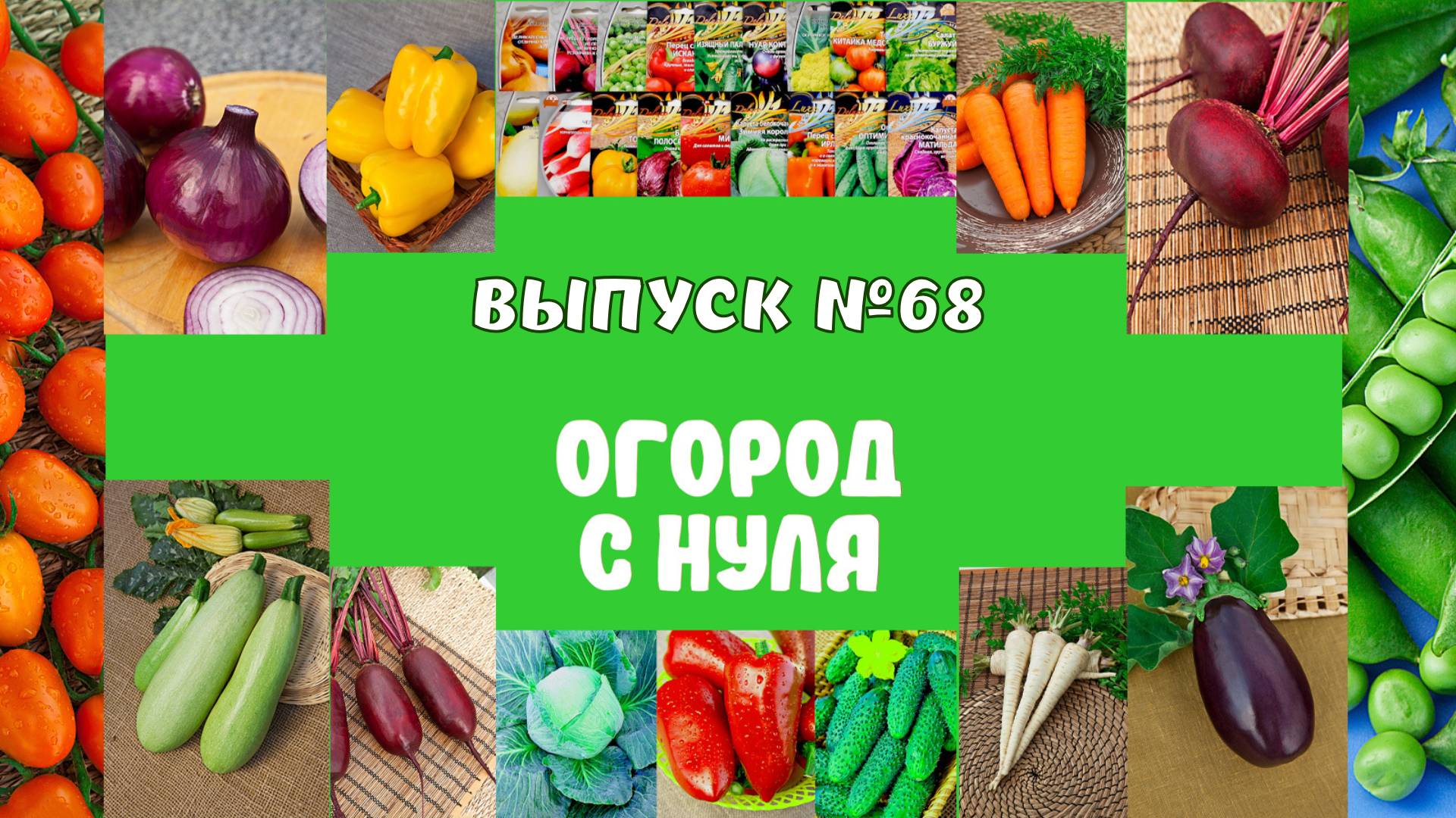 68. Обработка ягодных кустарников во время созревания ягод