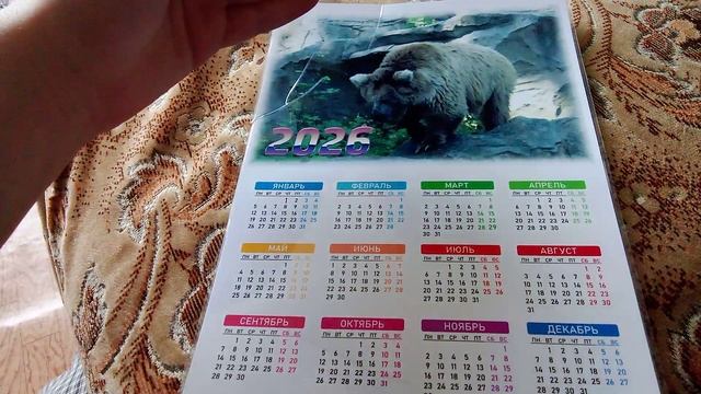Классный календарь с тяньшаньским медведем на 2026 год. Очень интересный видос получился.