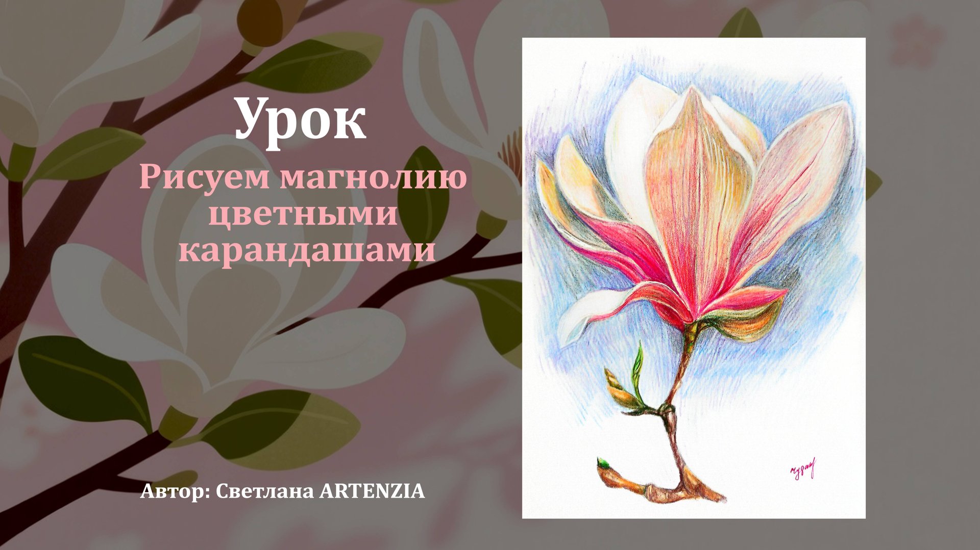 Учимся рисовать магнолию Цветными карандашами DENKSY