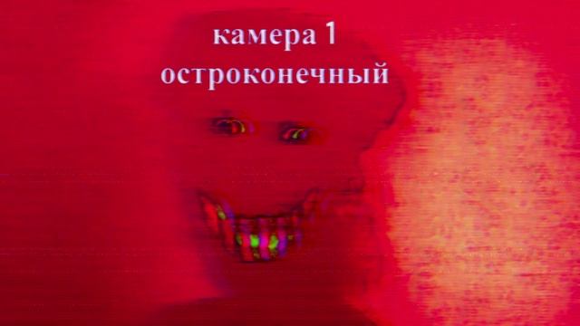водонаводская область инцидент остроконечный