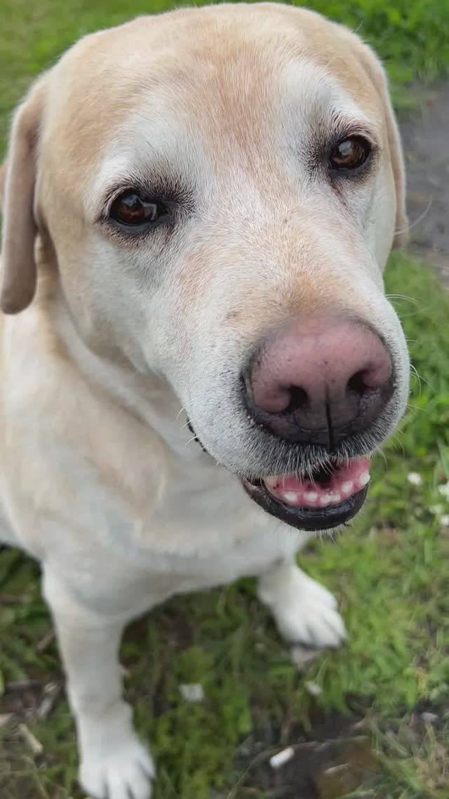 Просто Уля anzl.ru