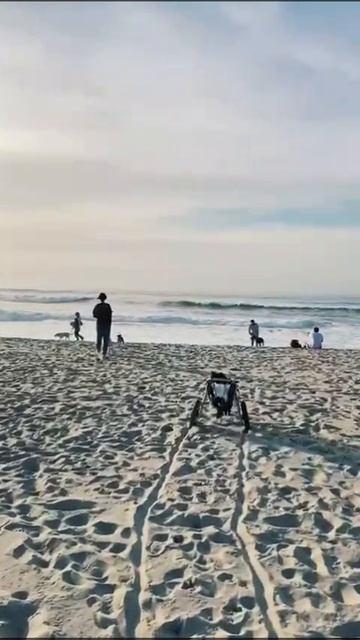 WhatsApp Video 2025-03-25 at 16.11.06