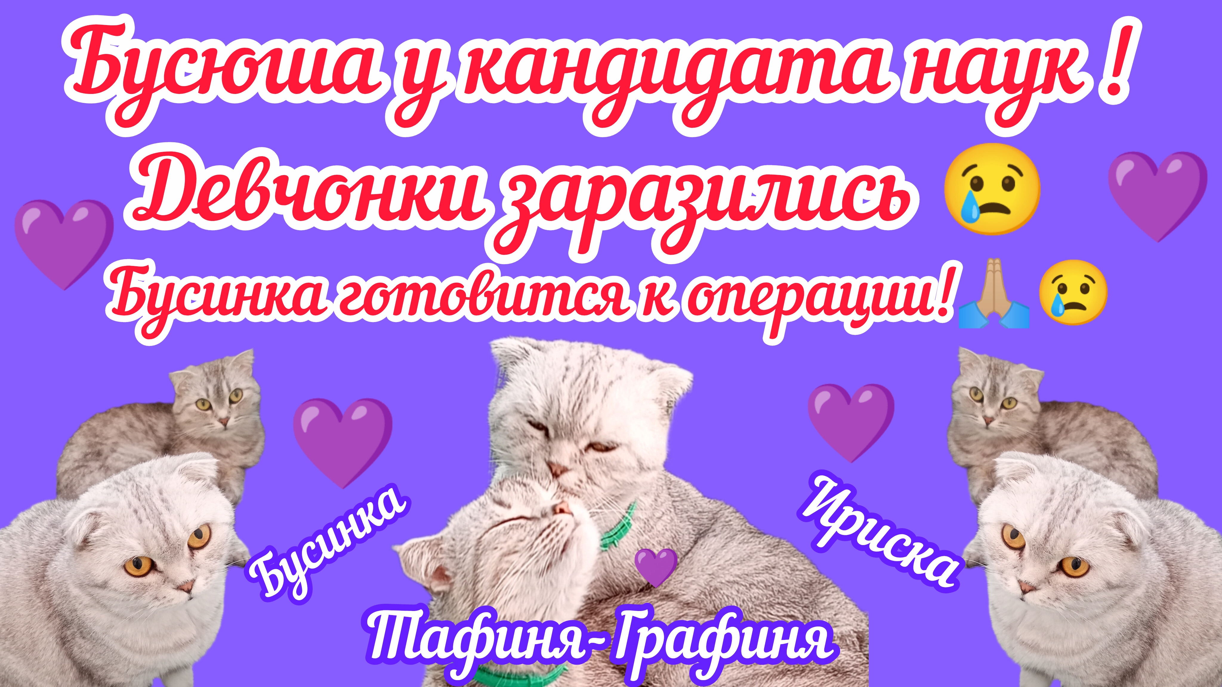 Готовим к операции Бусинку 😢Разговоры с врачом👩🏼⚕️Бусинка замёрзла в +30°😻