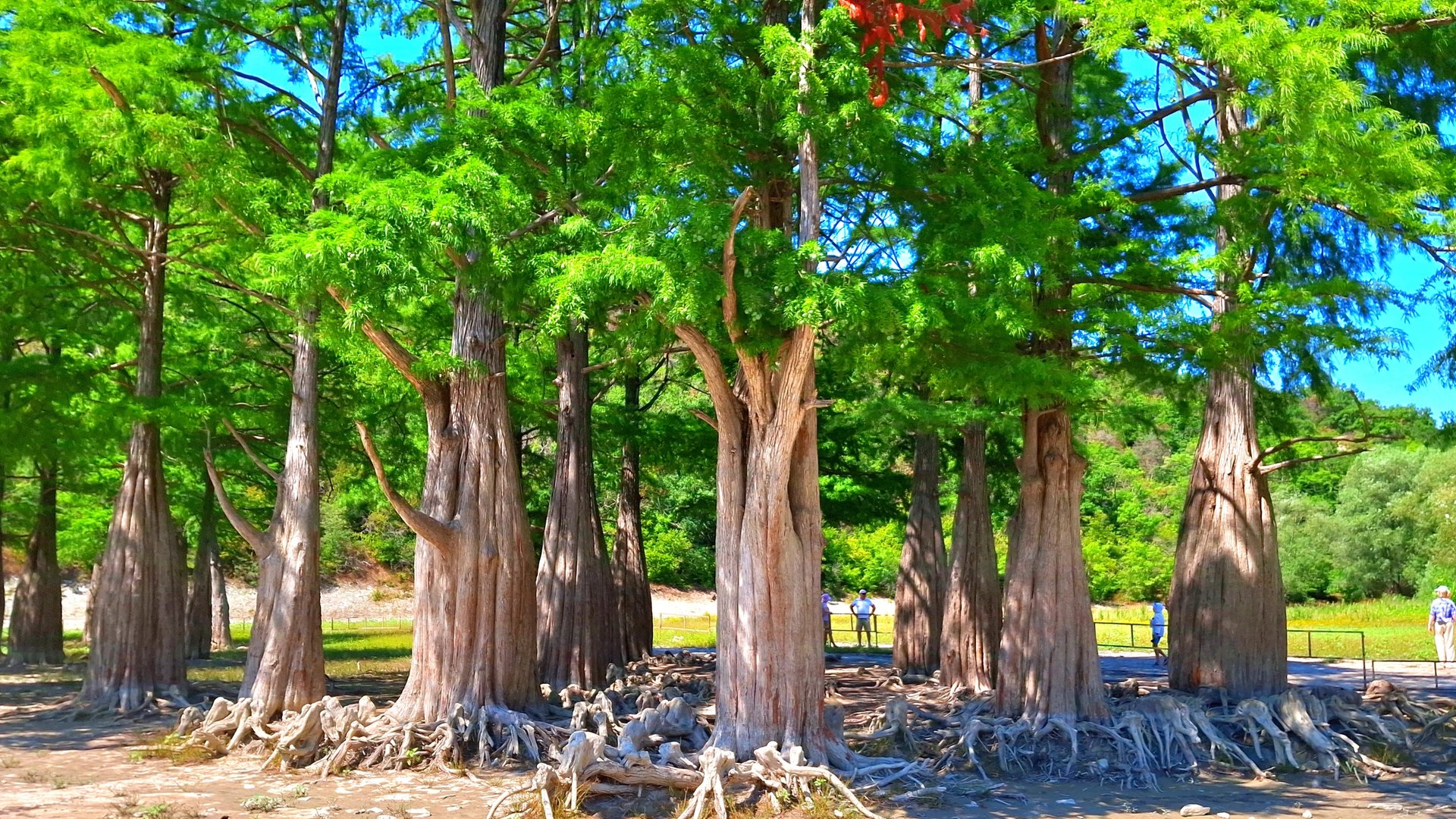 05.08.2025г. Кипарисовое озеро.Анапский район, п.Сукко.