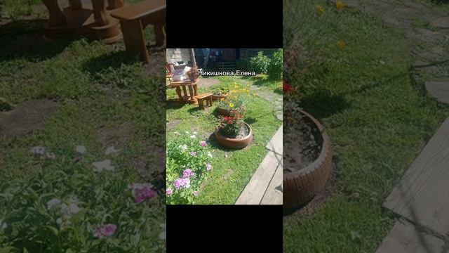 " Моя цветущая усадьба" с. Петропавловка