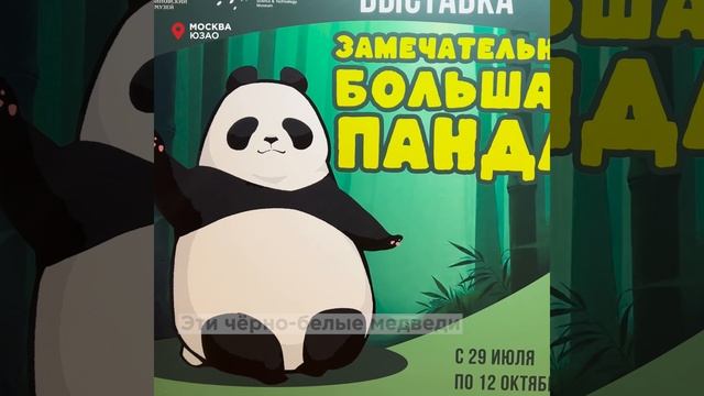 Замечательная большая панда»: в честь знаменитых мишек в Дарвиновском музее открылась выставка