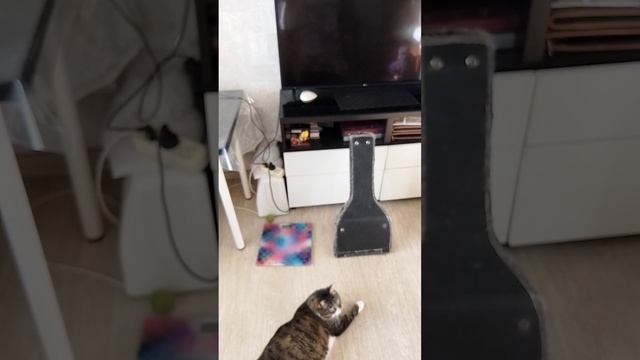 В моей комнате