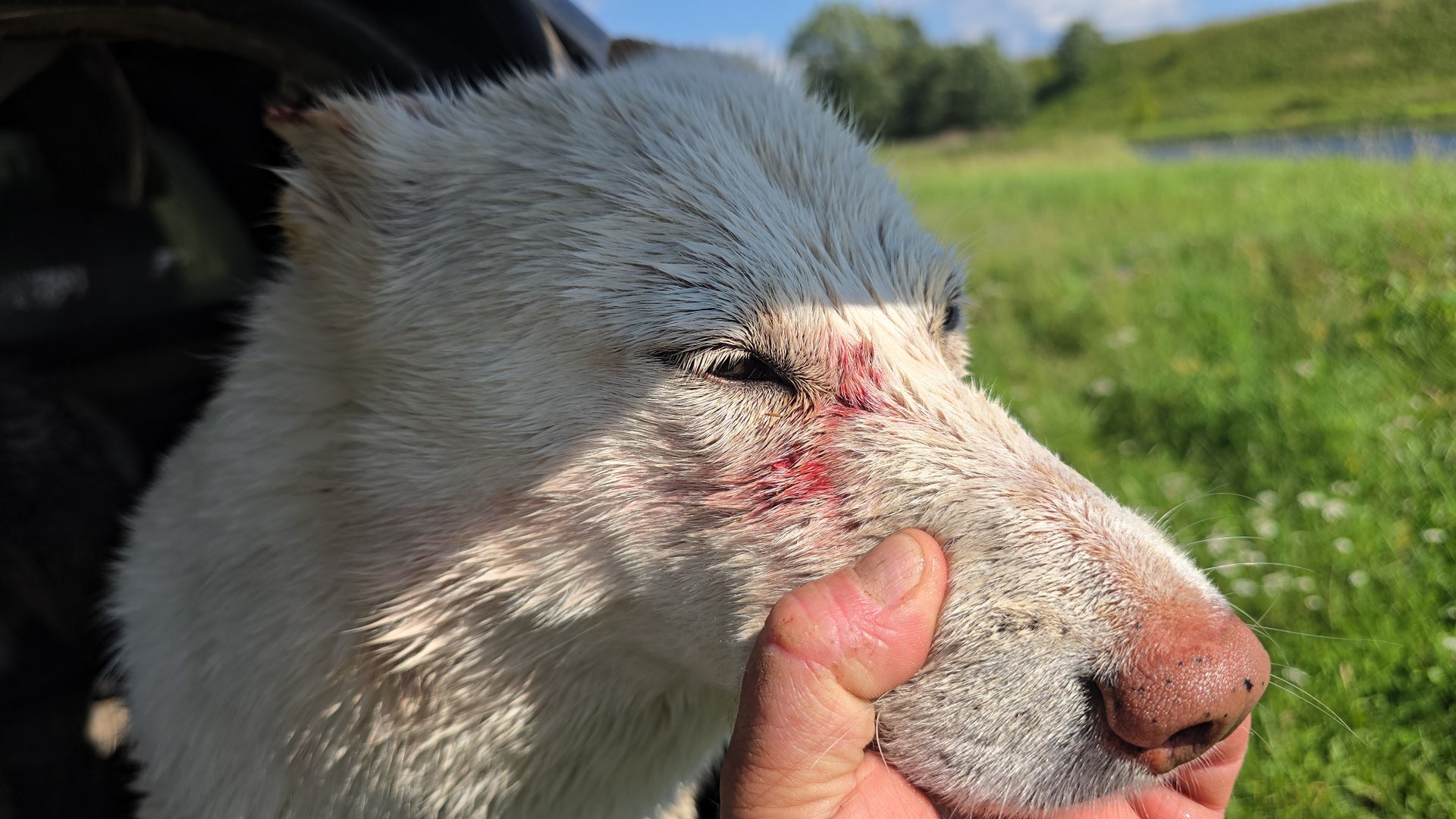 Заработали больничный