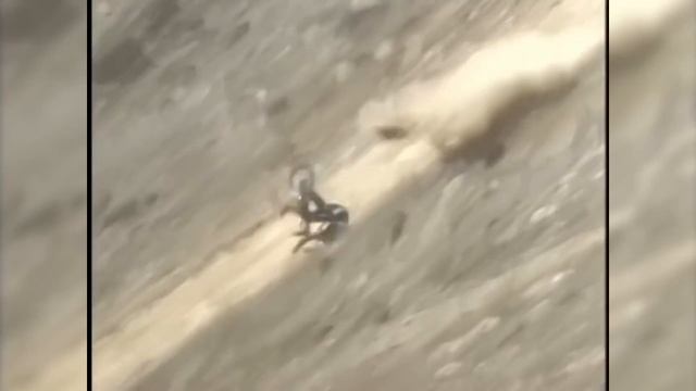 Четыре четверти пути.