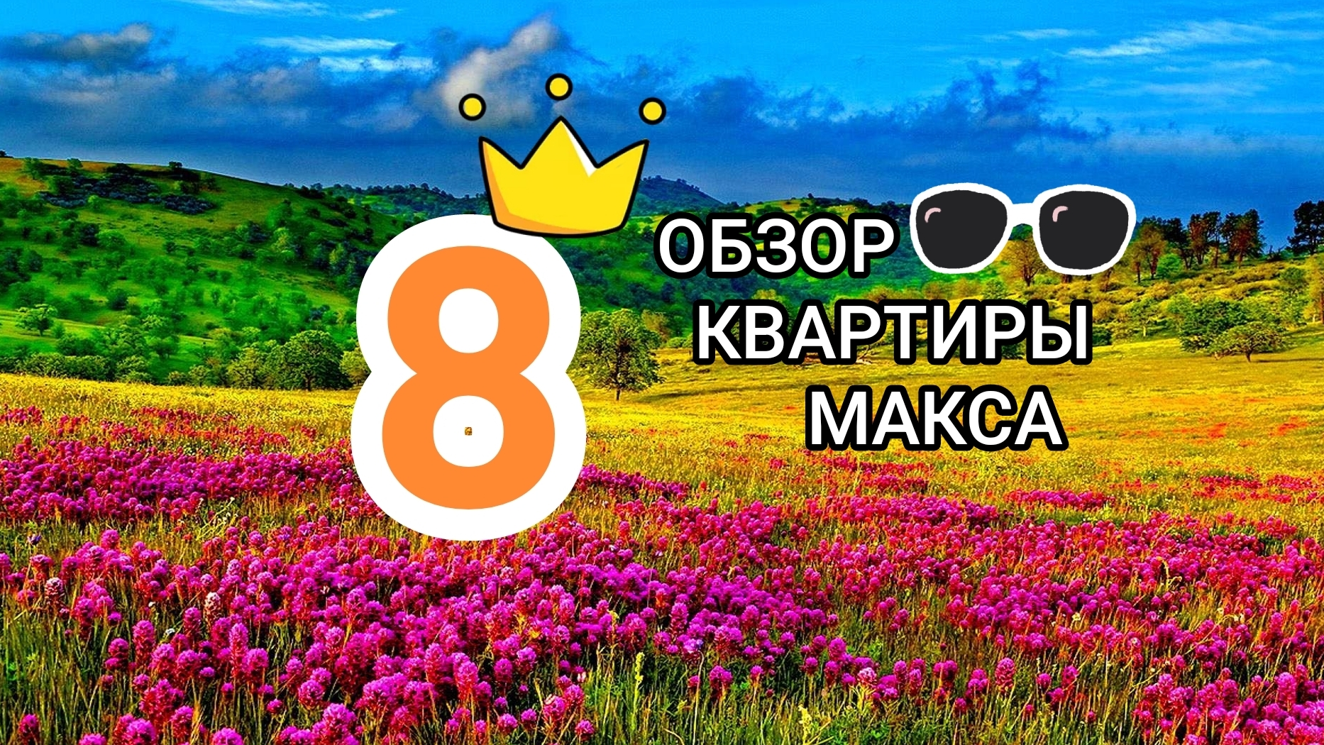 ЛЕТО 8 СЕРИЯ ОБЗОР КВАРТИРЫ МАКСА