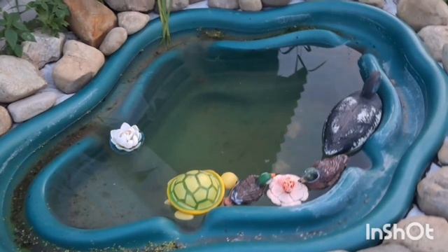 Пруд с утками