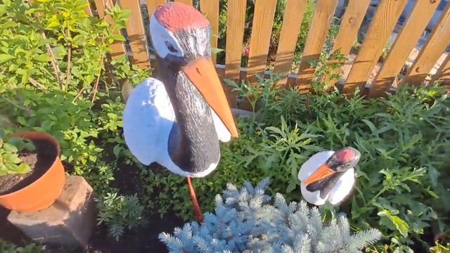 video_2025-07-09_12-28-31