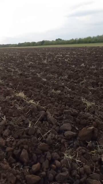 5-й сезон в работе! Отзыв фермера о плуге ПС-5/35!🔥💪