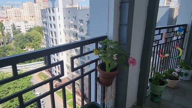 О делах и планах на будущее