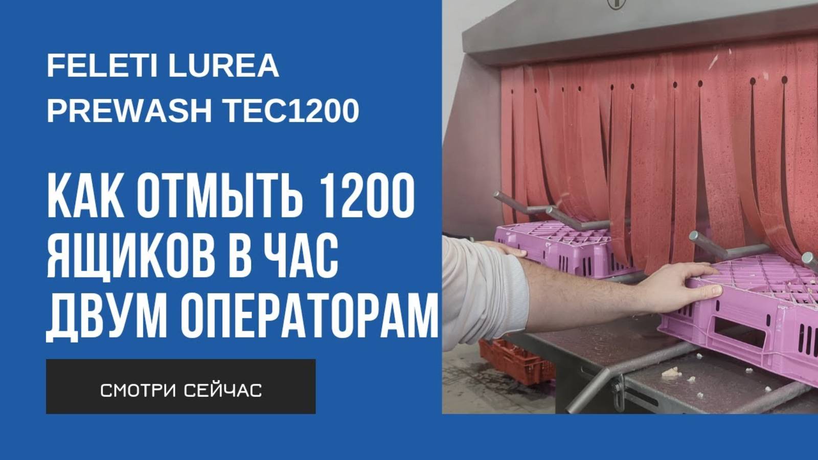 Обзор машины мойки для ящиков разных размеров - LUREA Prewash TEC1200