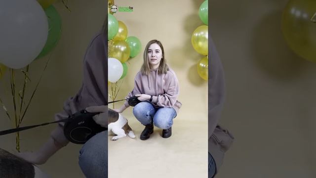 ВИДЕО С НАШЕГО ПРАЗДНИКА - 9 лет Мистер Гав