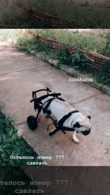 video5332661115887299883