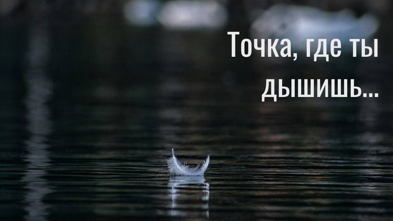 Точка тишины