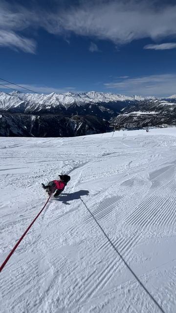 Настя Логинова