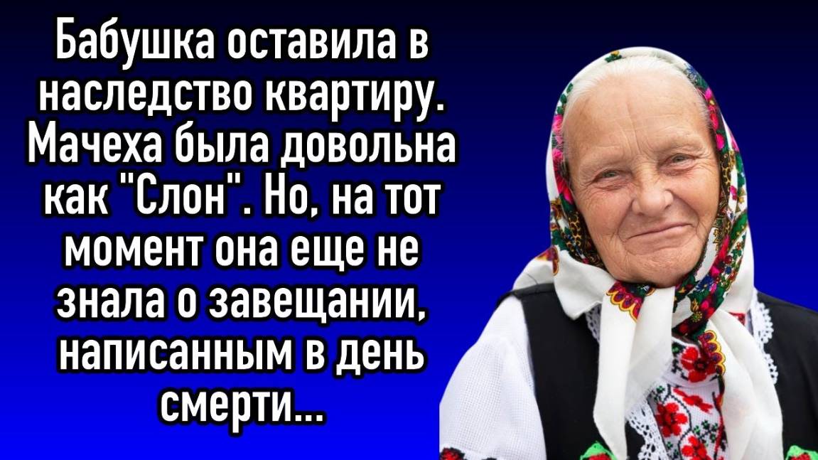 Бабушка оставила в наследство квартиру. Мачеха была довольна как слон. Но на тот момент она ещё не..